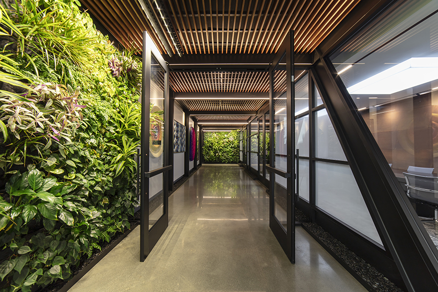 Haines Law - Balian Architects